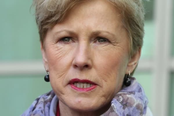 Greens begin urgent search for Senate successor to Christine Milne in ...