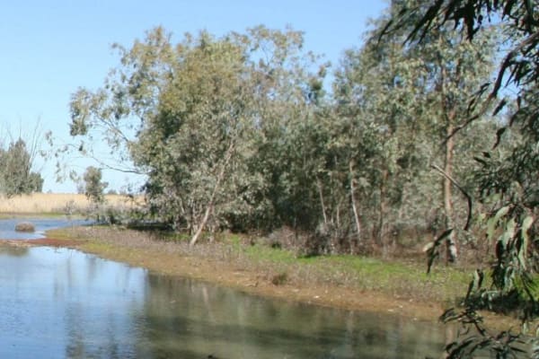 Everlasting Swamp to be state's newest national park