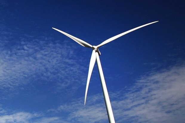 Activism fomented by Koch brothers turns against them