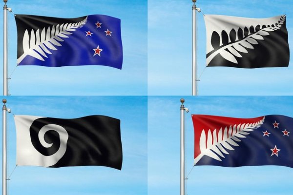 Final four New Zealand flags revealed