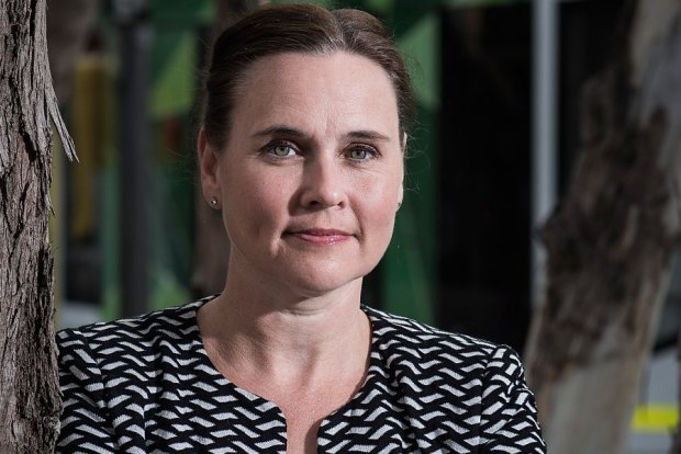 Growing pains put Labor minister Jane Garrett under pressure in Brunswick