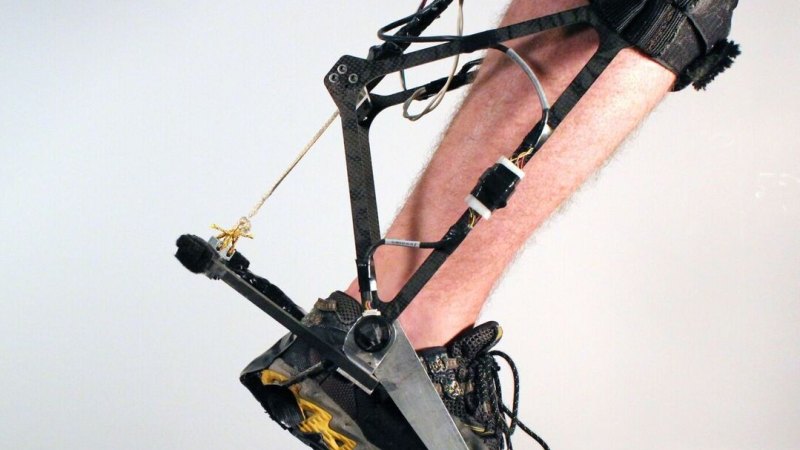 The key to making therapeutic robotics more efficient: a human touch