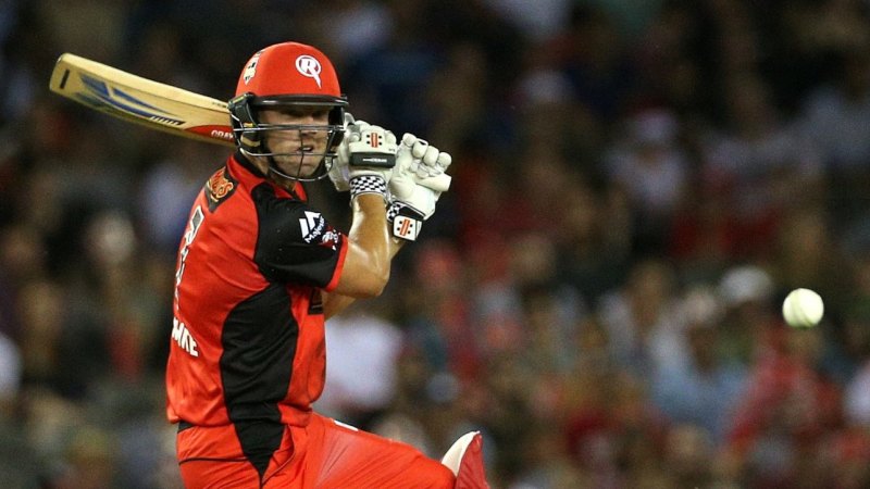 Cameron White, Travis Head and Alex Carey cleared for crucial Big Bash ...