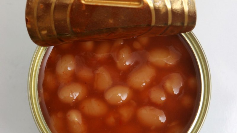 Money survival guide for students