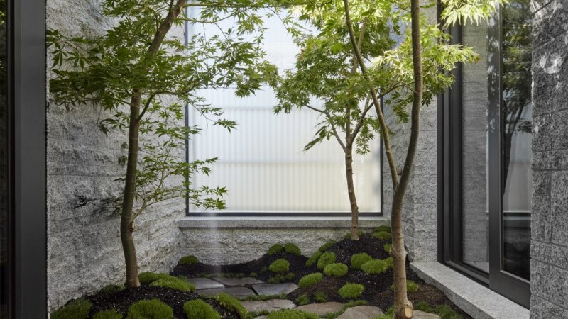 Home design: how passive courtyard gardens bring fresh beauty to urban ...