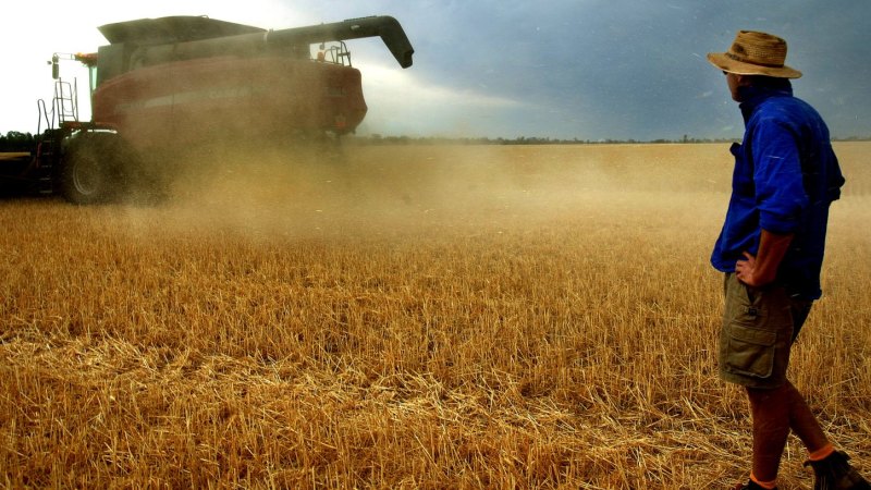 Land-clearing laws hurt farmers and don't help environment