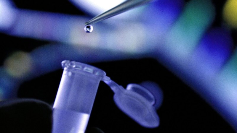 Beijing Genomics Institute sets up shop in Brisbane