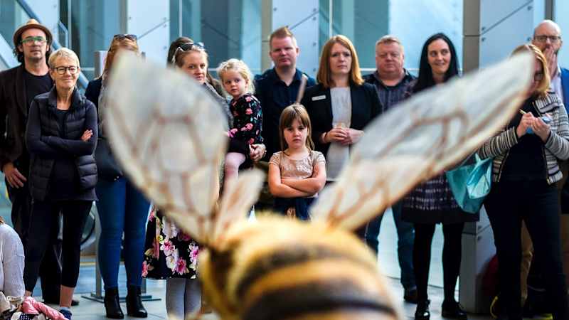 Bug Lab: Melbourne Museum's latest show explores super-powered world of ...