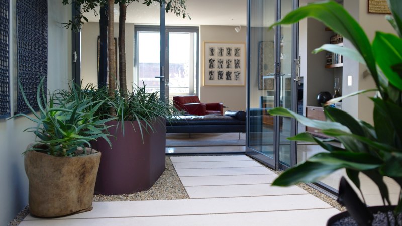 Outdoors: Great plants for internal garden spaces