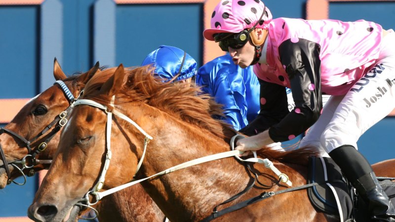 Wilf Mula enjoying incredible ride as Mr Manhattan seeks to become next ...