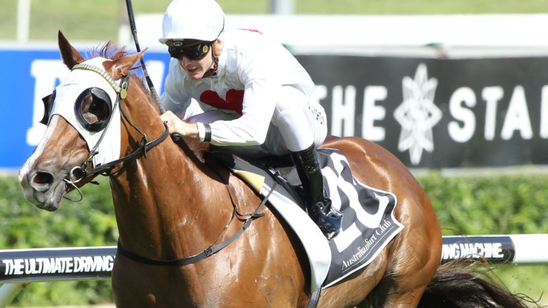 Gerald Ryan gives Diddums the benefit of run to be ready for Angst Stakes