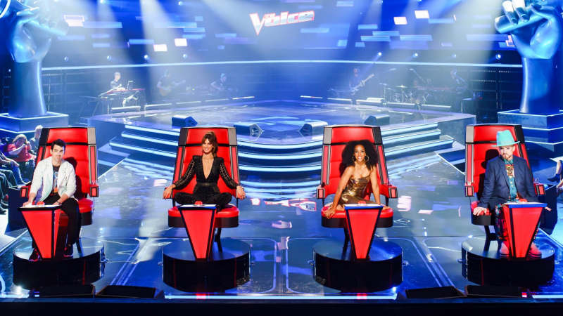 This is the Voi$e: Who are the real winners on TV's biggest singing ...
