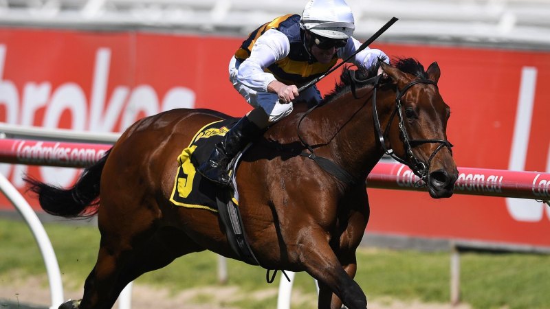 Aaron Purcell writes his own spring script with Aloisia to add an Oaks ...