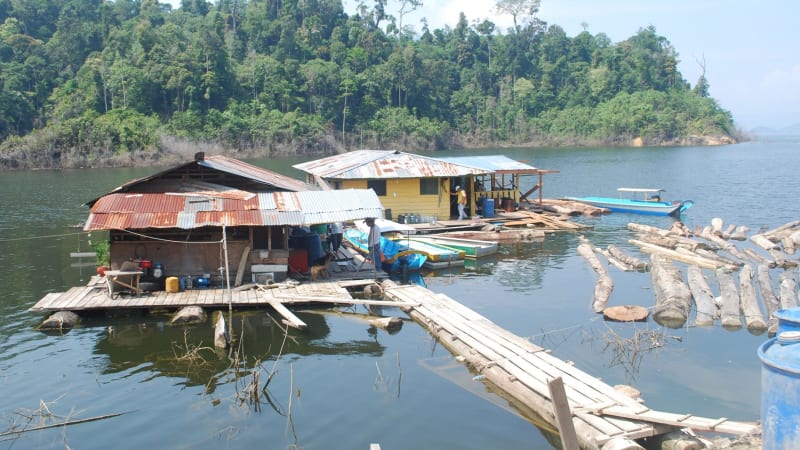 Environmental devastation, mass resettlement loom as Baram dam advances