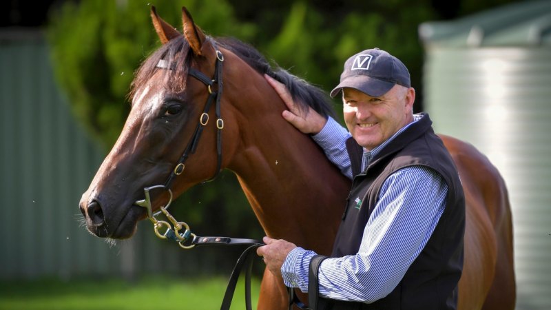 Black Caviar's managing owner Neil Werrett confirms wonder mare in foal ...