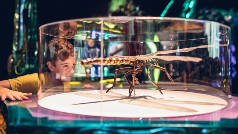 Bug Lab: Giant insects and spiders from Weta Workshop invade Melbourne ...