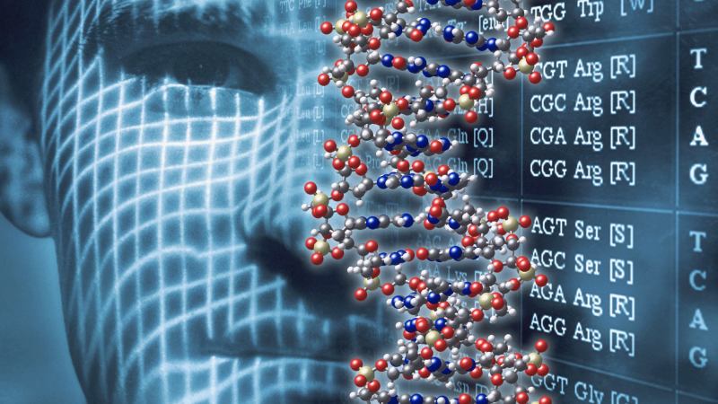 Could DNA phenotyping construct a likeness of the Gold Coast rapist?