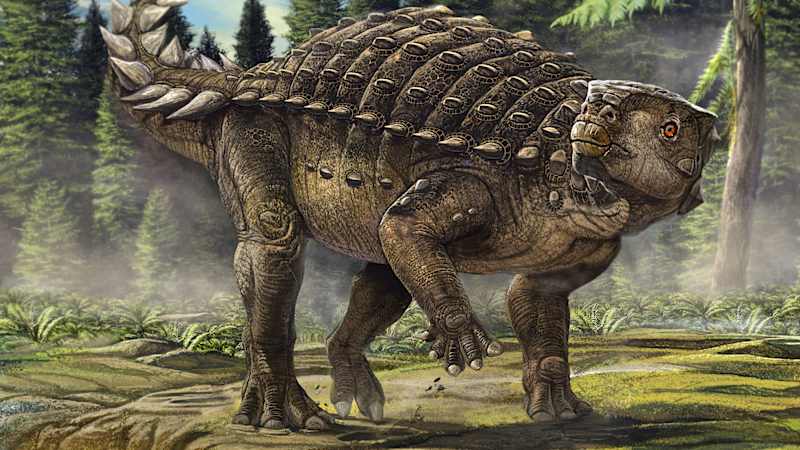 Meet Australia's newest dinosaur - Kunbarrasaurus ieversi