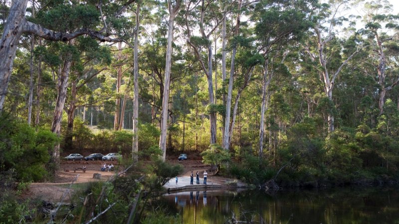 WA’s Southern Forests region is a booming gourmet destination