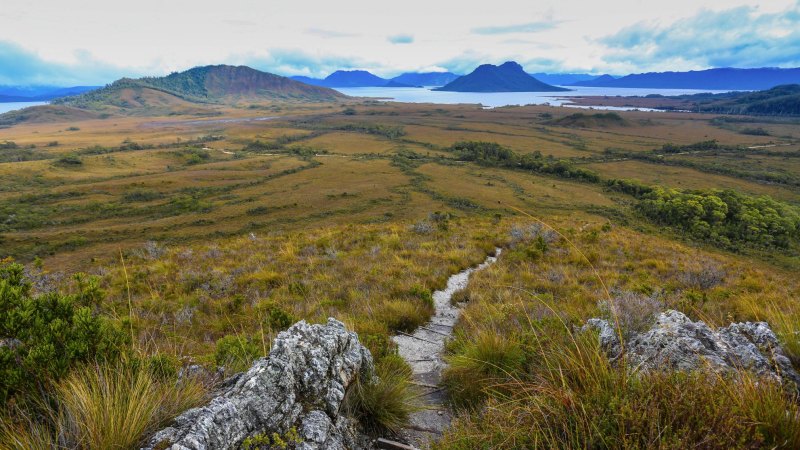 Into the Heart of Tasmania review: Gaining a sense of Aboriginal culture