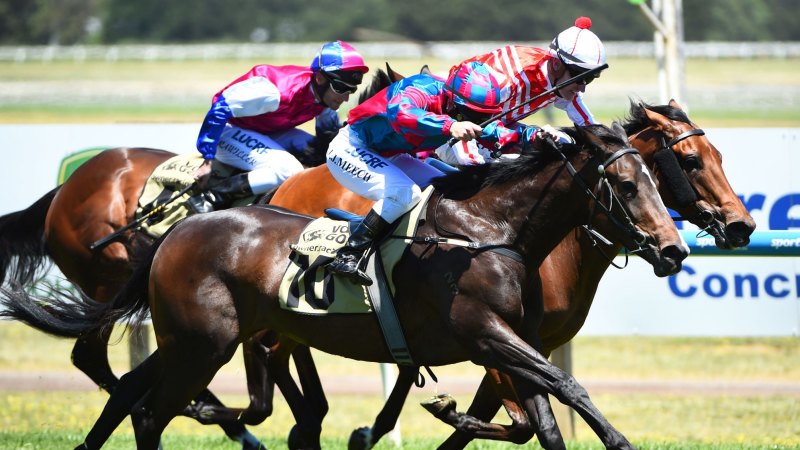 Racing: Ballarat Wrap: Doubles for Zahra, Nolen and a first for Finnegan