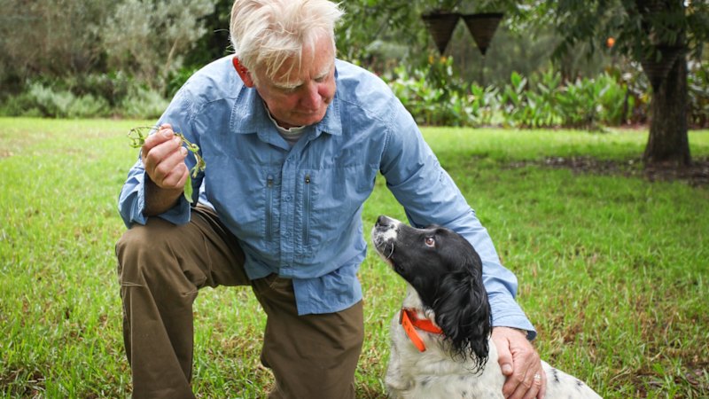 A dog trainer's journey giving 'rejected' dogs a new lease on life