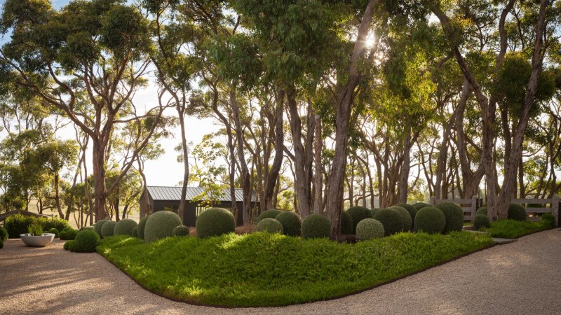 Gardening: It's time to get creative with native Australian plants