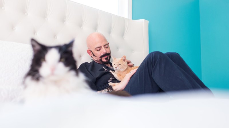 Cat whisperer Jackson Galaxy: why cats suddenly bite the hand that pats ...