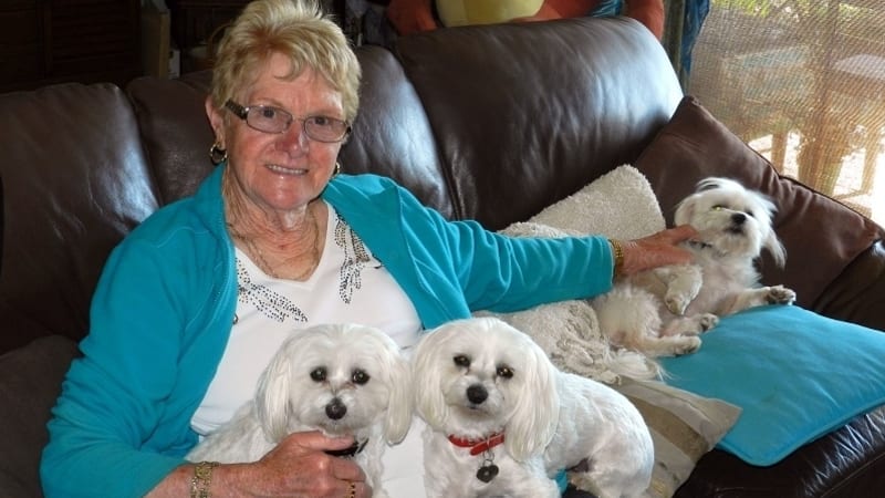 'Nothing to lose': Rodney Boatswain, accused killer of Helen Dawson Key ...