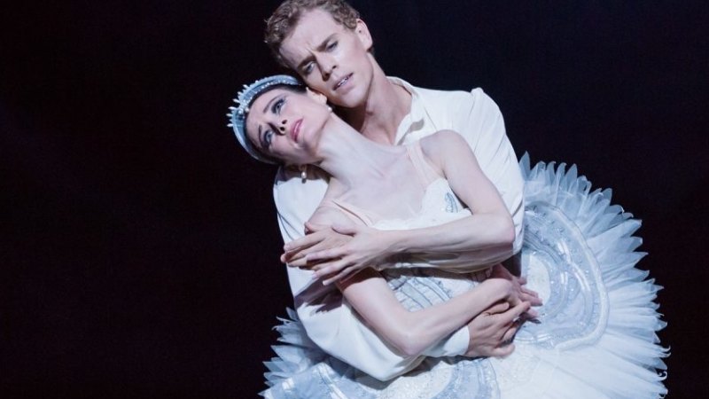 Swan Lake review: Revival makes stars of swans but lacks in genuine drama