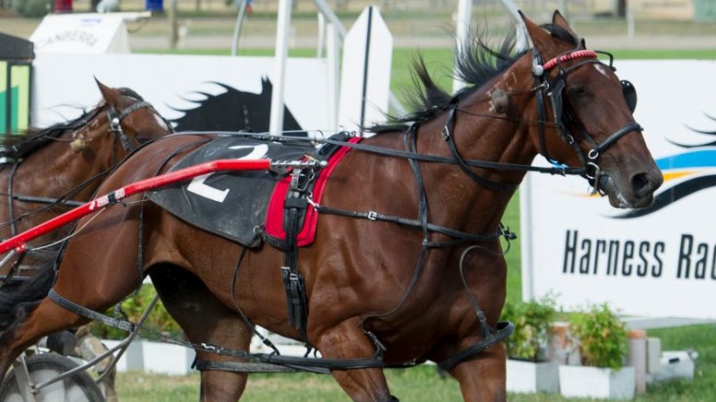 Shane Anderson's Chantrey claims Canberra Cup ahead of Raiders captain ...