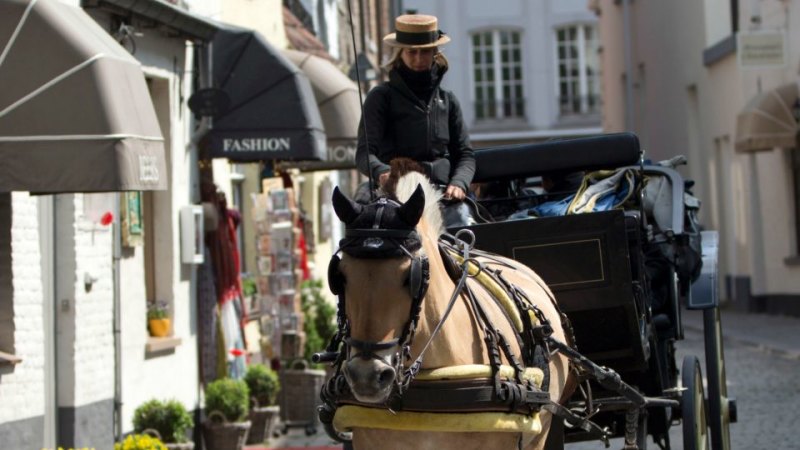 World's first beer pipeline carries Belgium's precious drop three ...