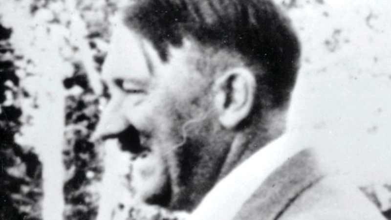 Medical record shows Hitler only had one testicle, reports German media