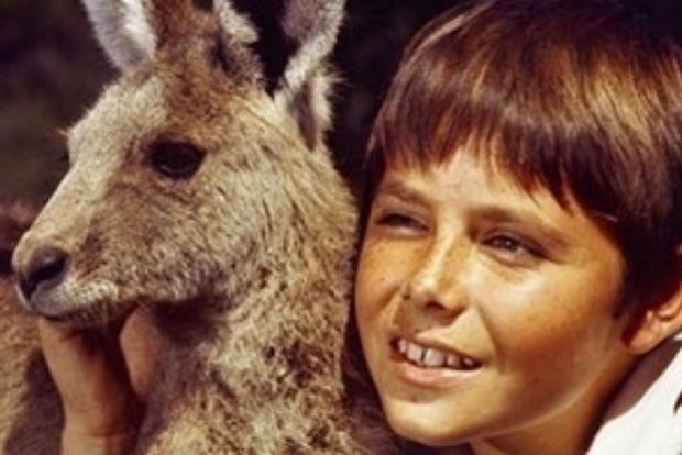 Short Cuts: Skippy to hop into cinemas, Gracie Otto directing a Koko ...