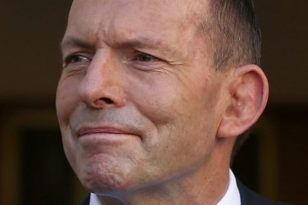 Tony Abbott speaks out over 'death by opinion poll'