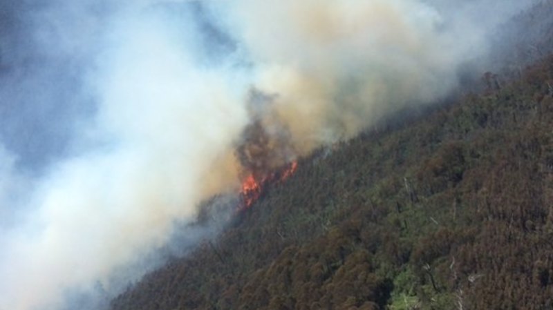 Residents on alert near Newcastle after fires breached containment lines