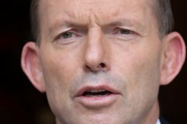 Tony Abbott set to reshuffle his office amid criticism of ...