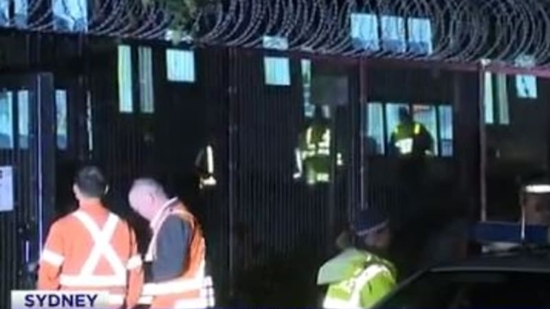 'Train vandal' hit and killed near Kingsgrove Railway Station