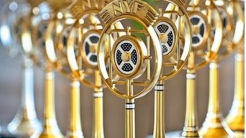 Phoebe's Fall podcast wins gold award at New York Radio Festival
