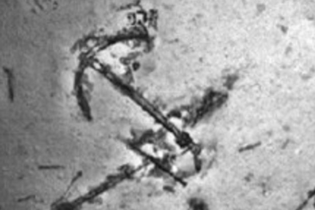 Malaysia Airlines MH370: search for missing aircraft uncovers shipwreck ...