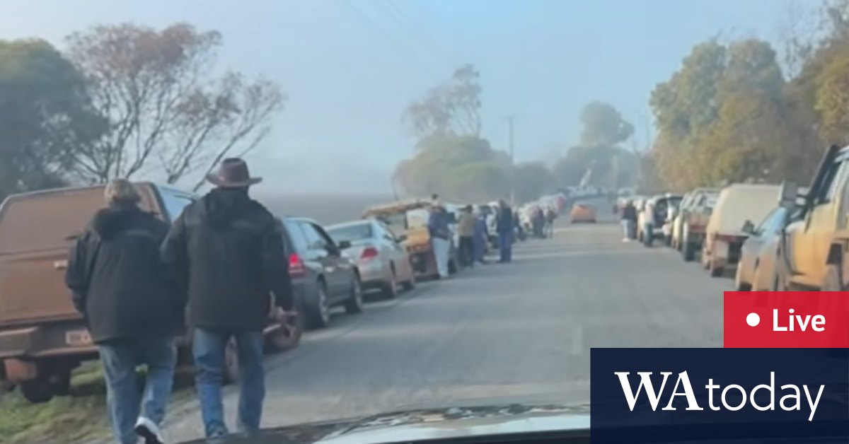 WA News LIVE: Human trafficking investigation; Live sheep export ban ...