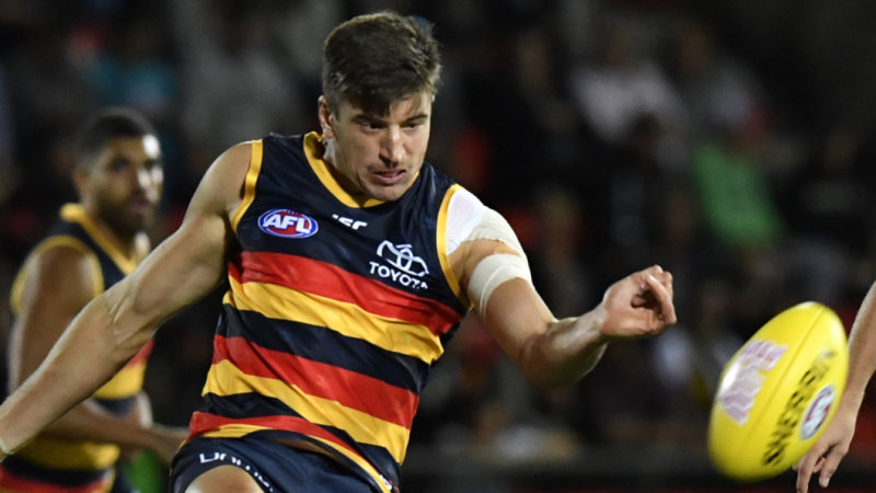 AFL: Adelaide Crows suspend Patrick Wilson over drink driving