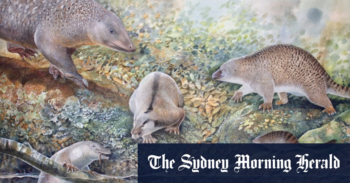 Scientists have opened an ‘amazing’ window to the past at Lightning Ridge