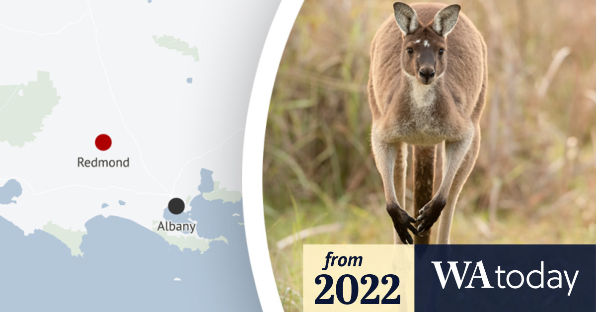 Kangaroo kills Australian man