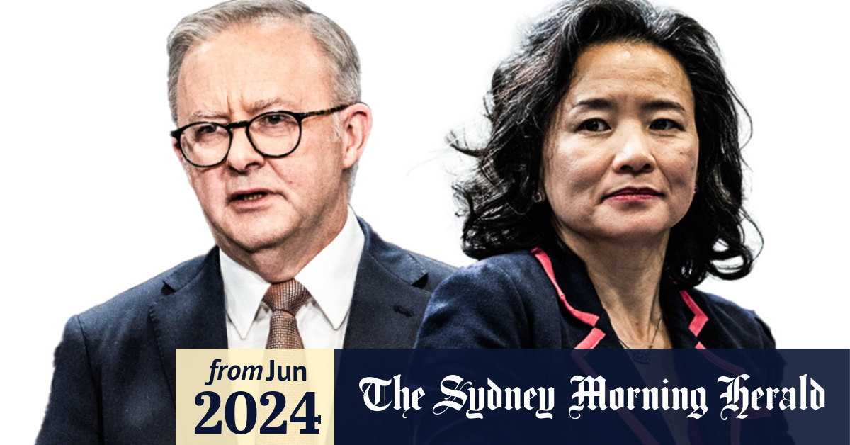 Anthony Albanese says China officials blocking journalist Cheng Lei was ...