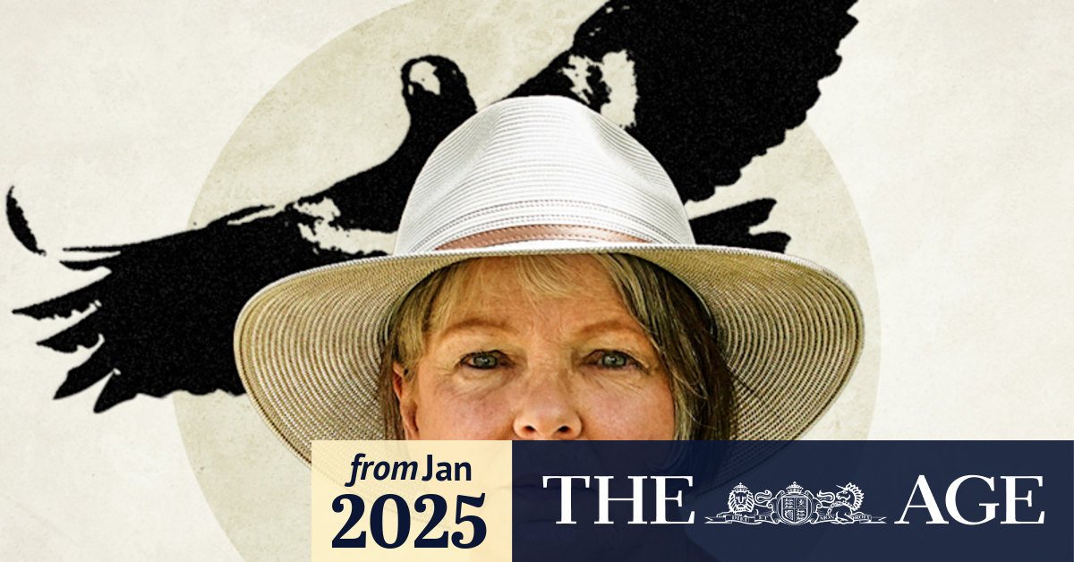 Eye injuries from bird attacks in Victoria up as magpies and magpie ...