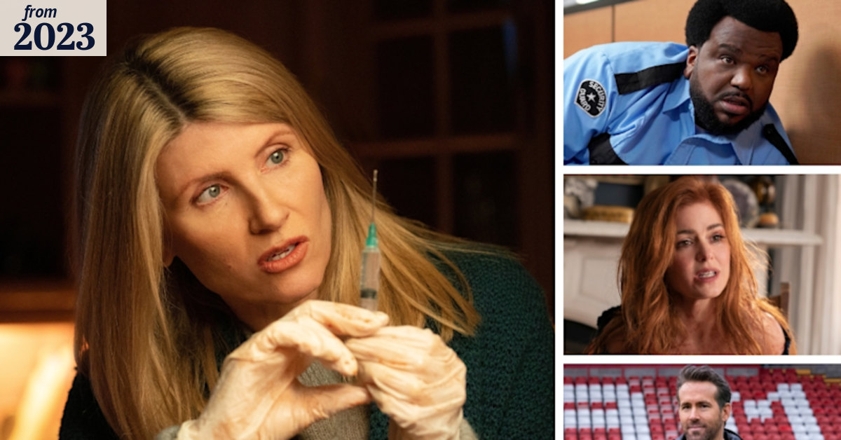 Best TV shows of 2022 you probably haven’t watched on Netflix, Stan ...