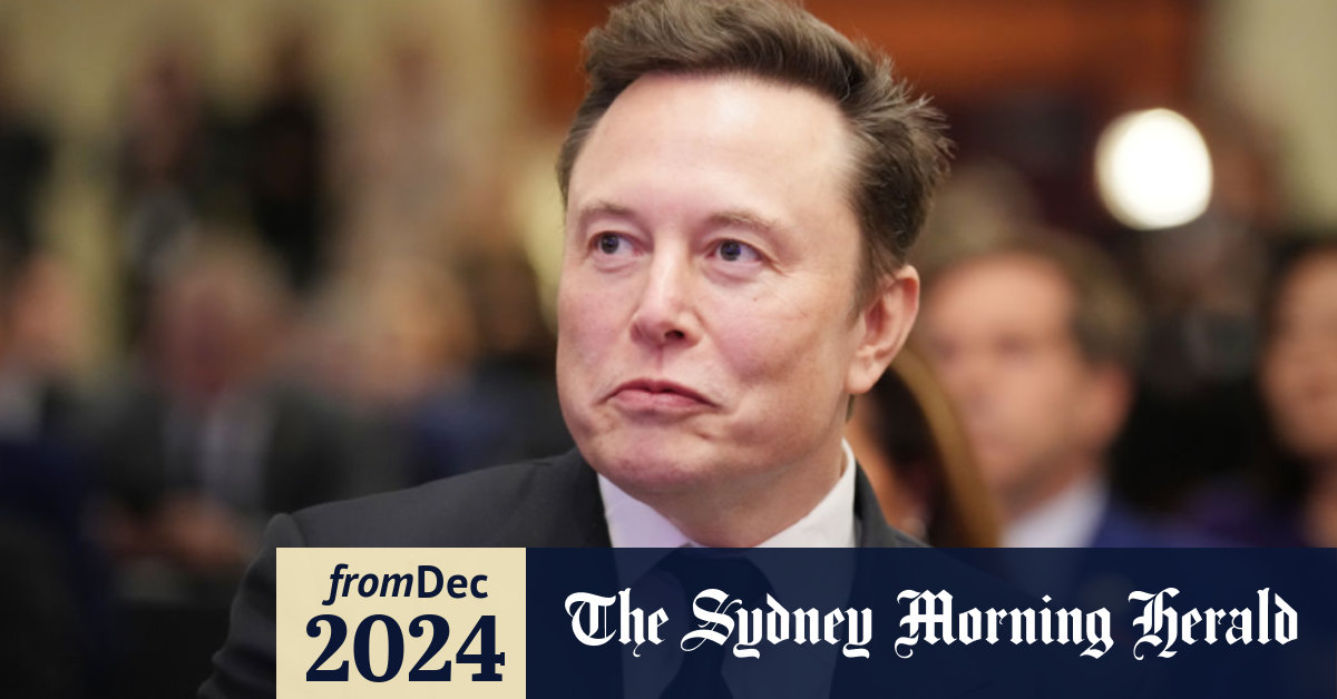 Germany elections: Fury in Berlin after Musk backs far-right ...