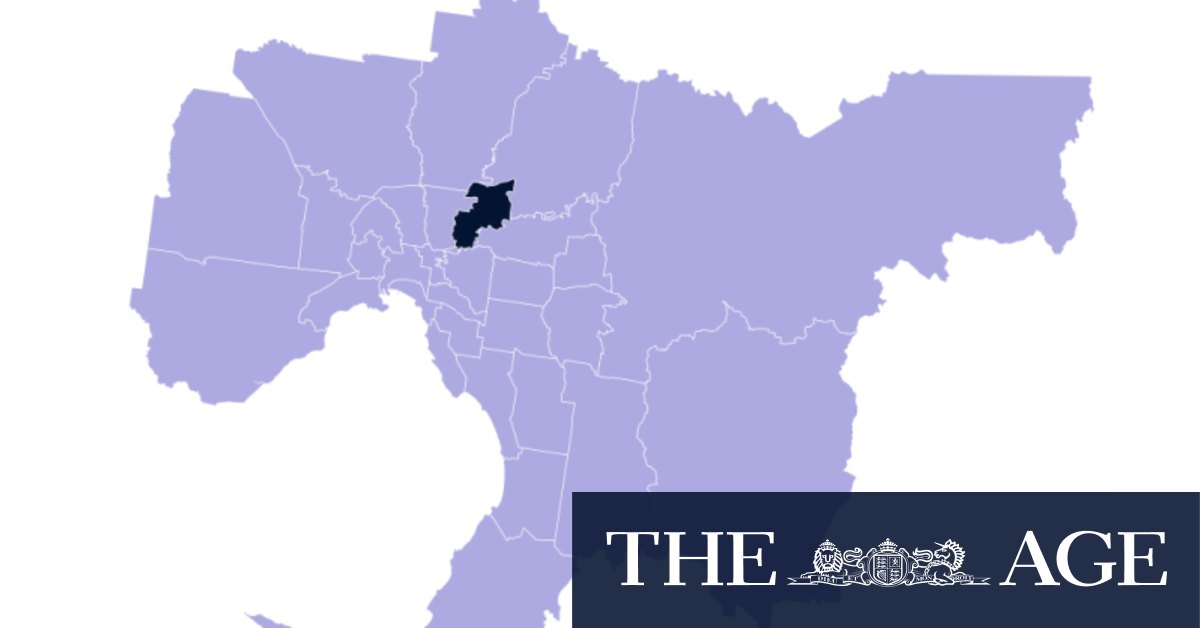 Victorian council elections 2024: What Banyule candidates said