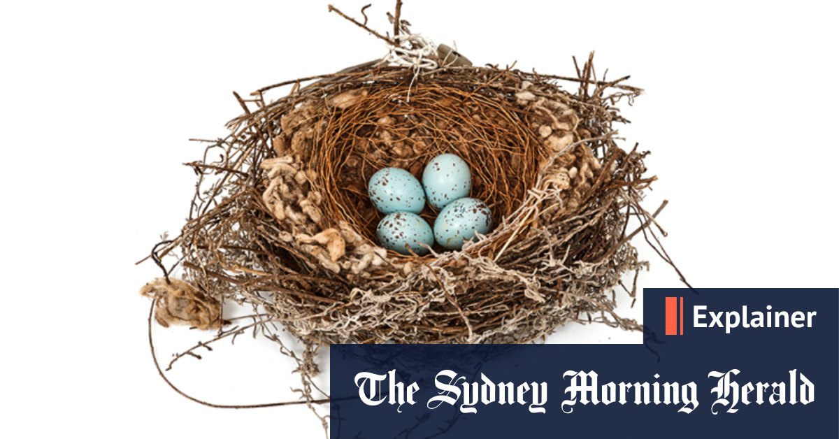 How do birds build their nests?